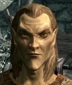 High elf/dark elf physiognomy displayed on cinematics VS games (eyes ...